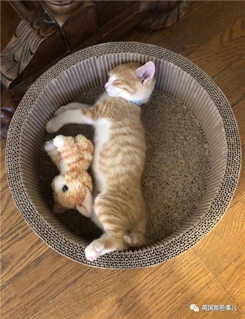 【西点#花生渣酥饼干*自用的做法步骤图】ttttty_下厨房