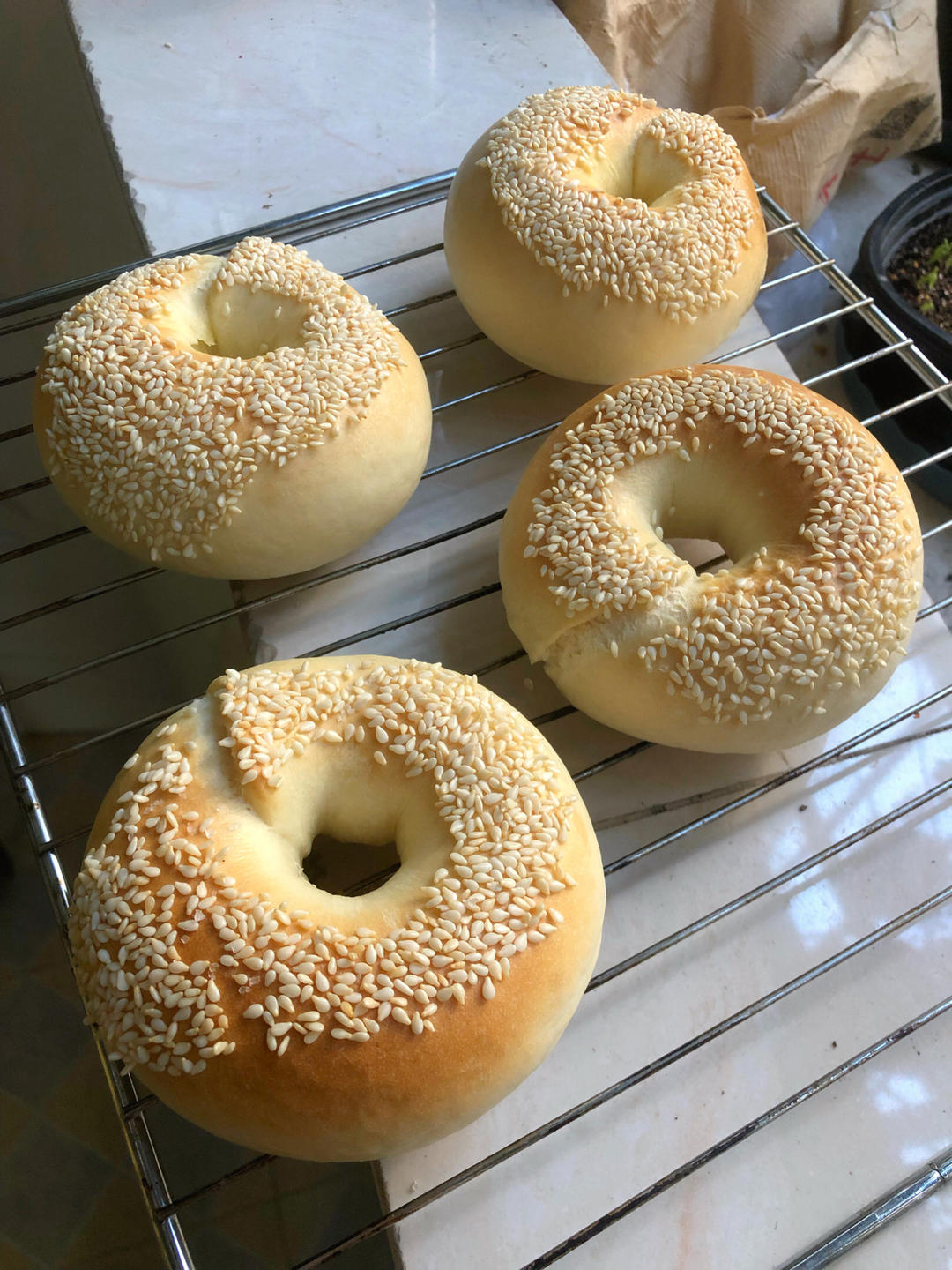 【奶盐贝果|温柔治愈的黄油奶香图片】Jessie2020_下厨房