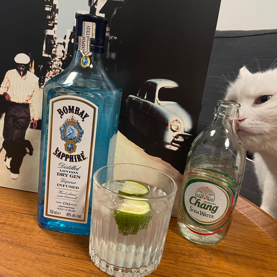 【如何调一杯酒吧里点单率最高的金汤力Gin Tonic图片】mokmok_______下厨房